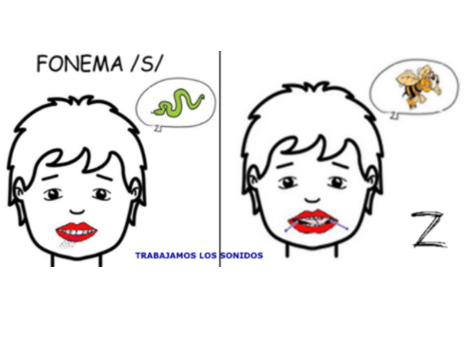 FONEMA S Y Z | Genially