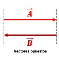 Infografía de Vectores | Genially