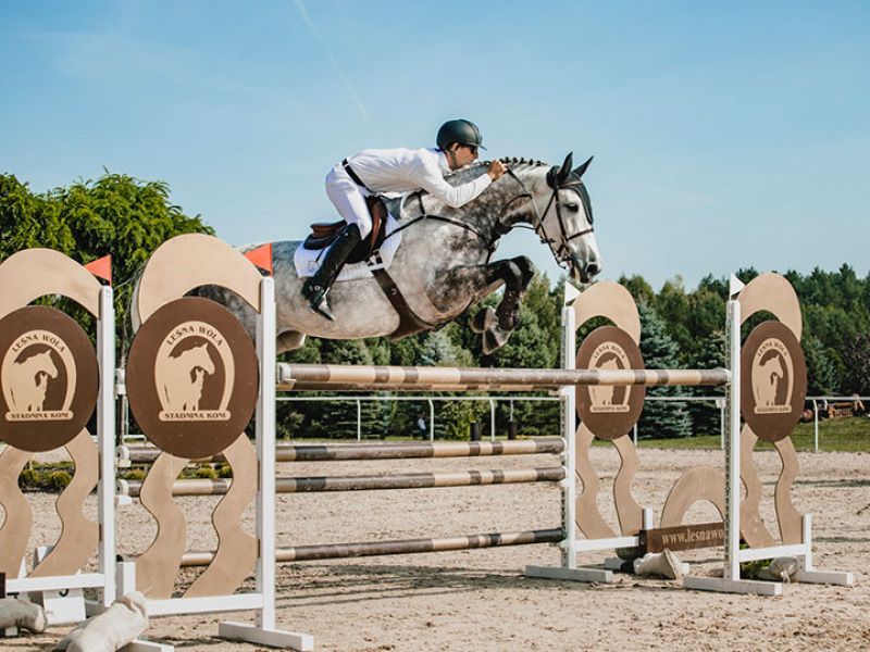 Moje zainteresowania