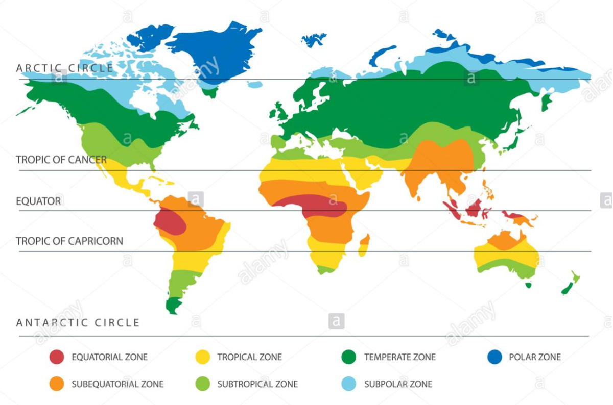 zonas climáticas en el mundo | Genially