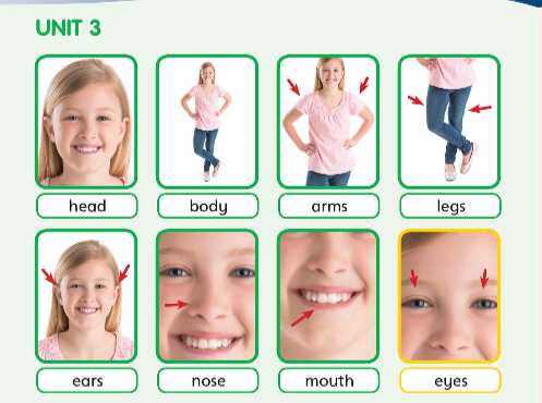 Bugs Team 1 Unit 3 | Genially