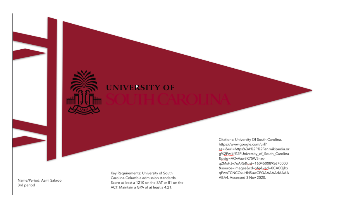 University Of South Carolina