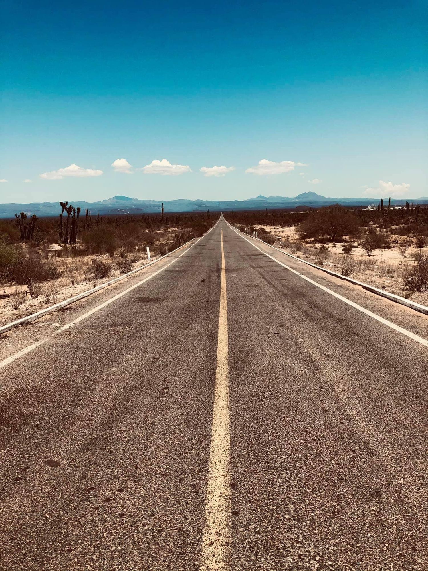 QUELLE ROUTE ON VEUT POUR SOI ? | Genially