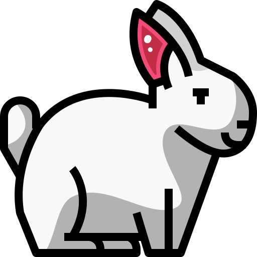 Unit 3: PETS | Genially