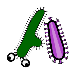 SWI ALPAJÉS 2021: ARCHIVO | Genially
