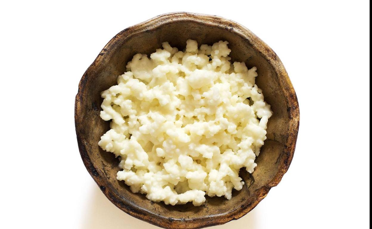 Els bacteris | Genially