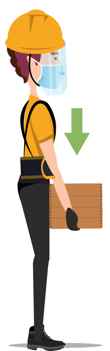 Material Philips Mayo | Genially