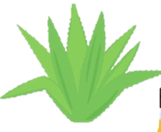 MAPA DE PROCESOS DULCE MAYAHUEL | Genially