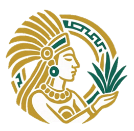 MAPA DE PROCESOS DULCE MAYAHUEL | Genially