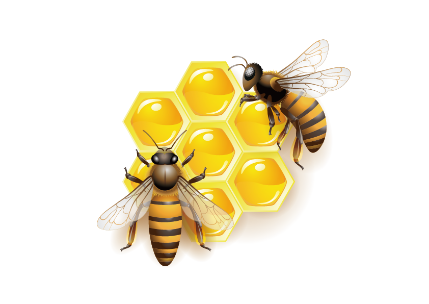 BEES | Genially