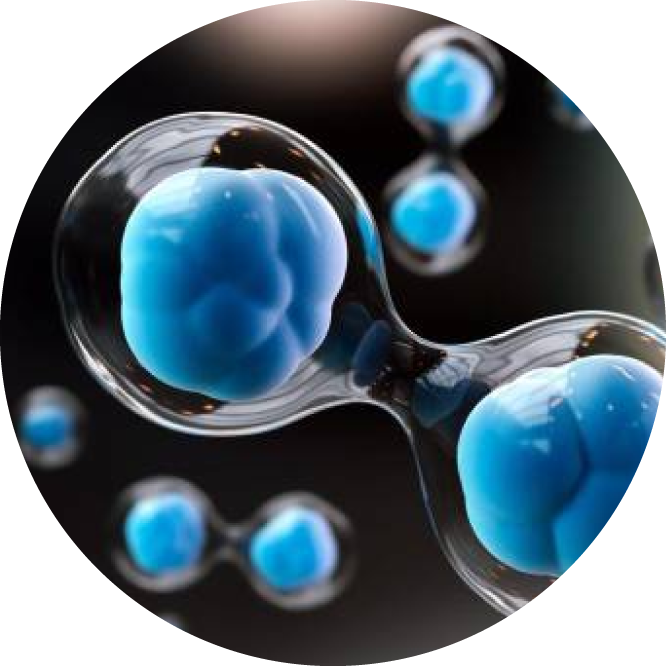 CÉLULAS MADRE | Genially