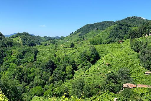 La collina | Genially