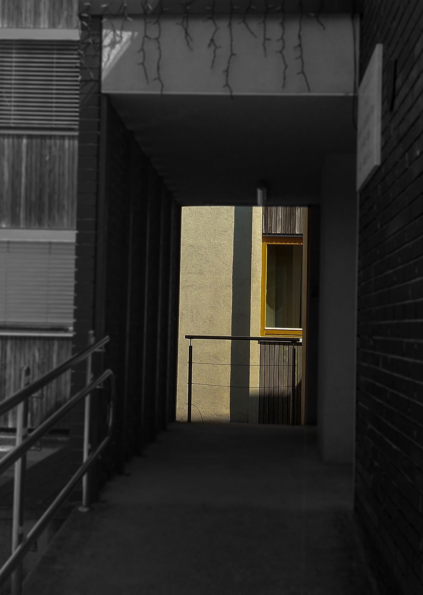 fazanijada 24 | Genially