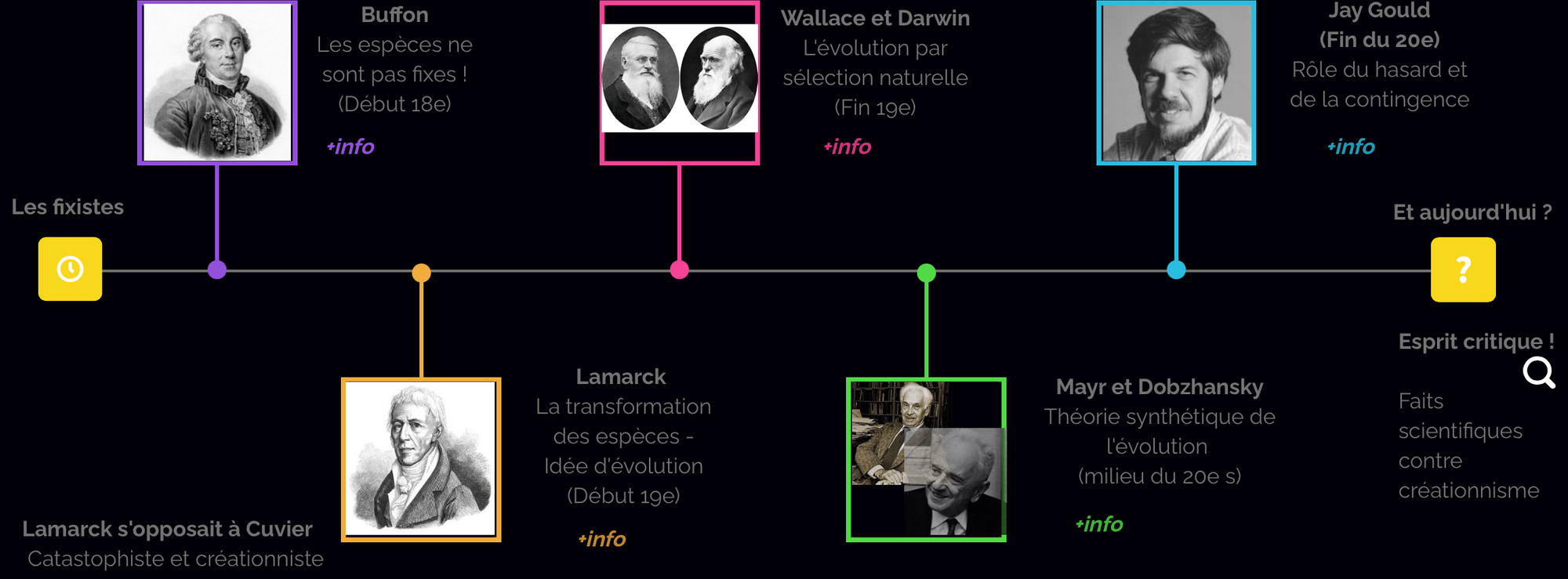 Les étapes de la théorie de l'évolution