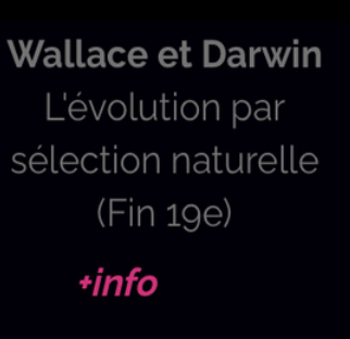 Les étapes de la théorie de l'évolution