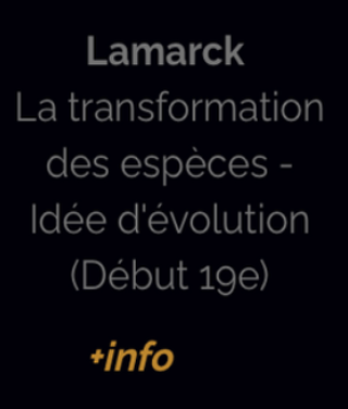 Les étapes de la théorie de l'évolution