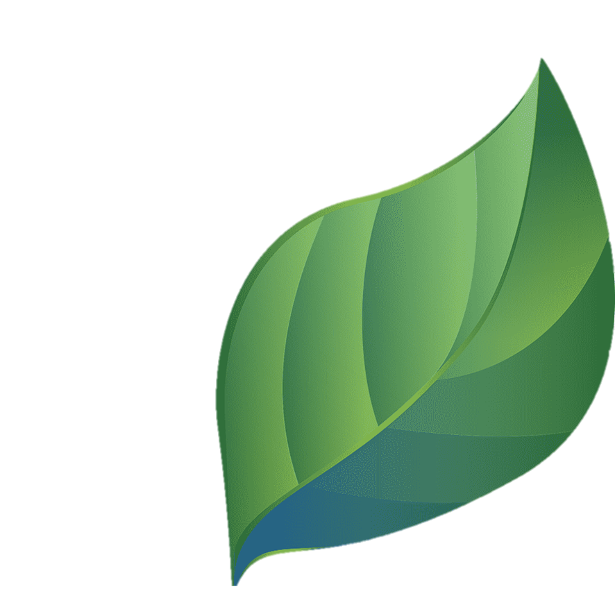 Video tutoriales familias