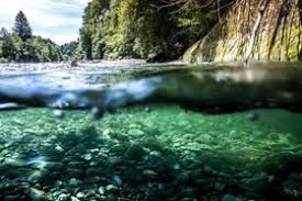IL FIUME | Genially