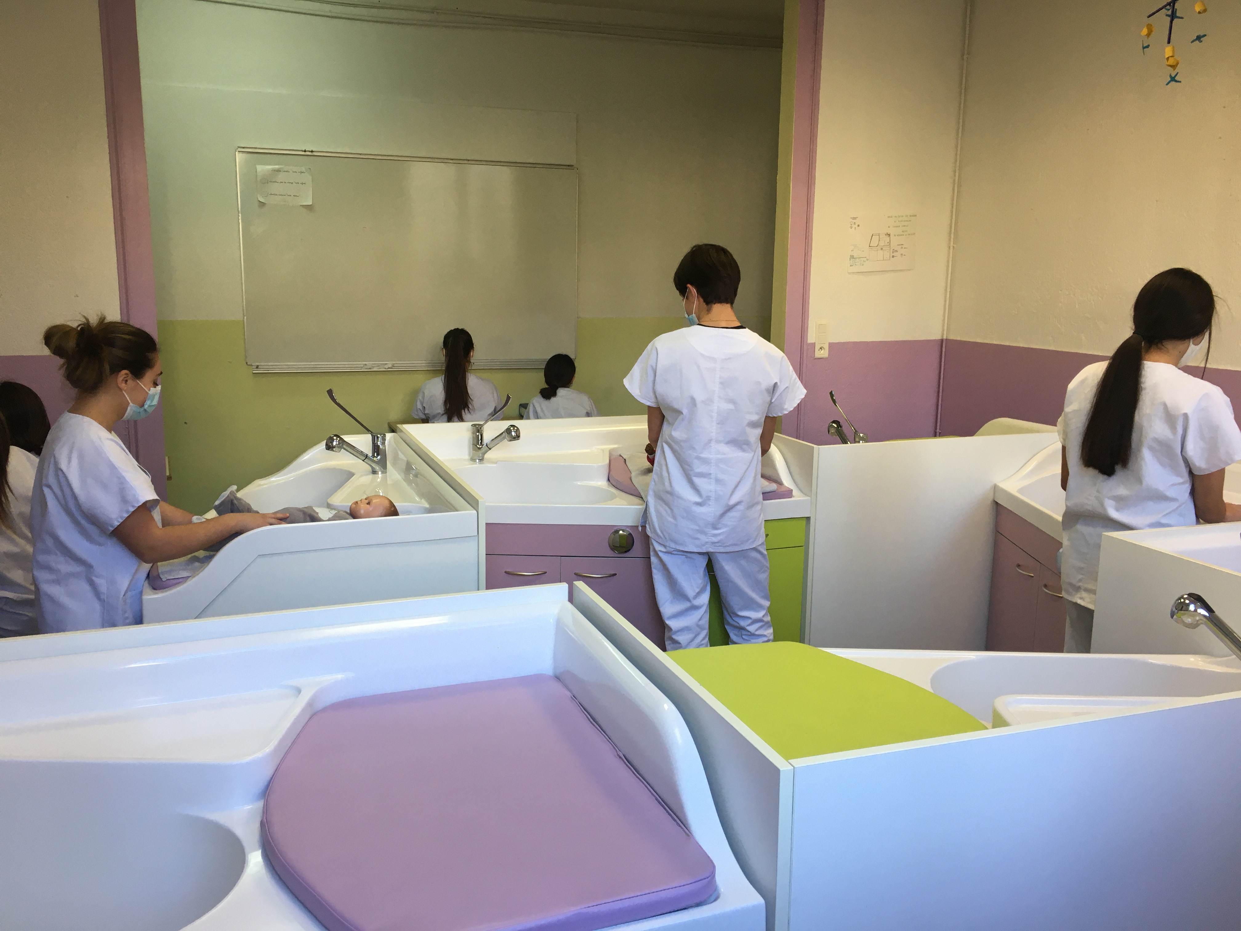 Bac pro ASSP | Genially