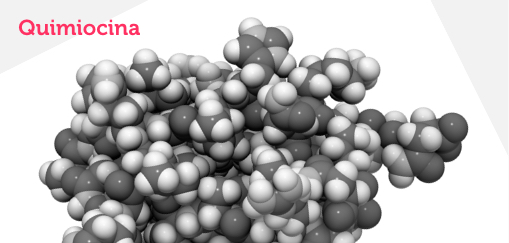 Citocinas y Quimiocinas | Genially