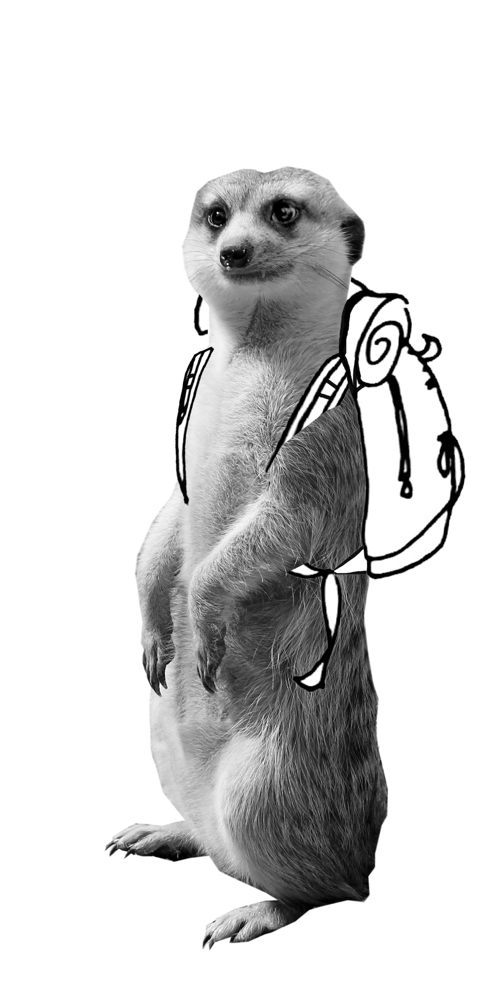 rastro bedosque | Genially