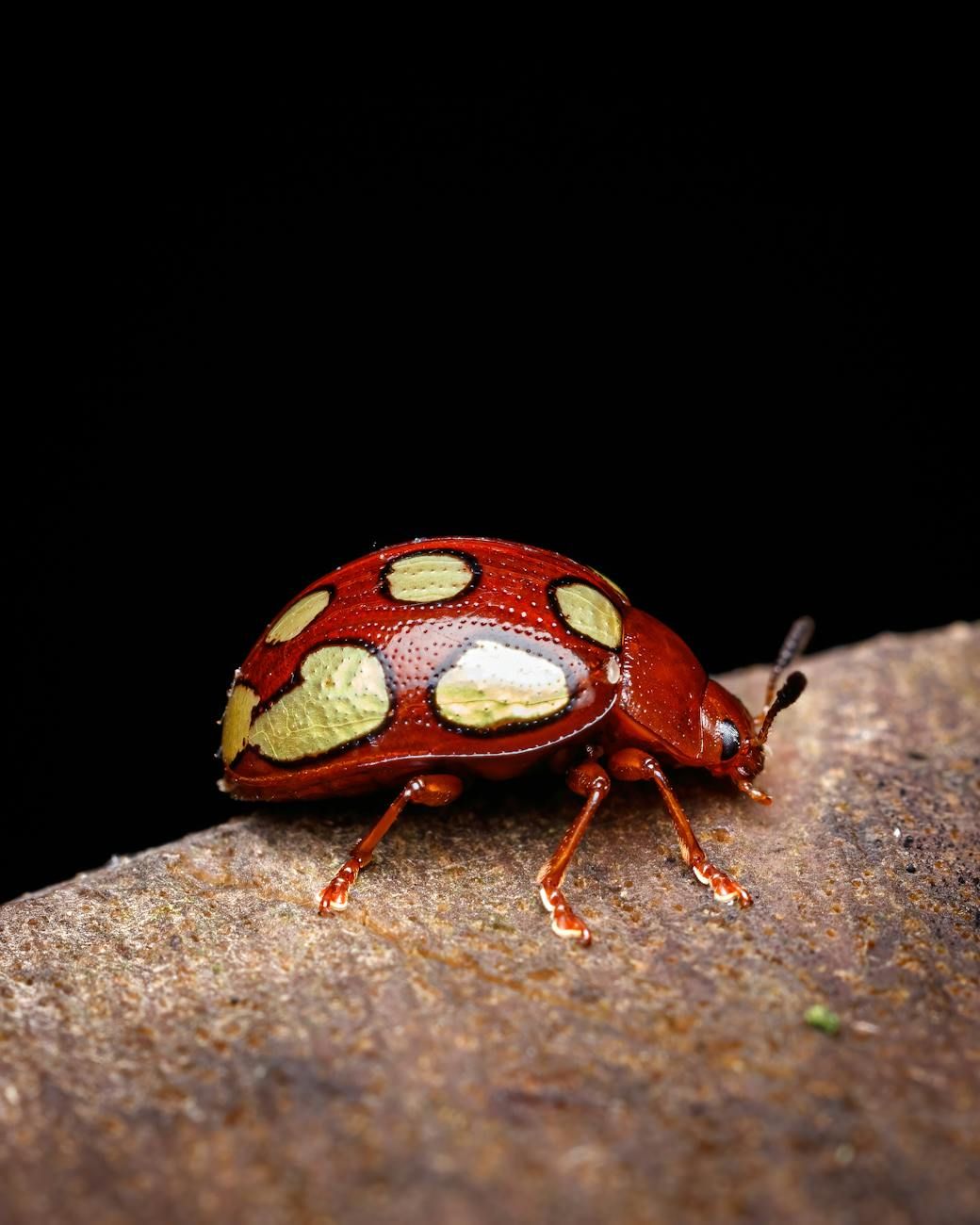 Keyboarding and Mouse Practice | Genially