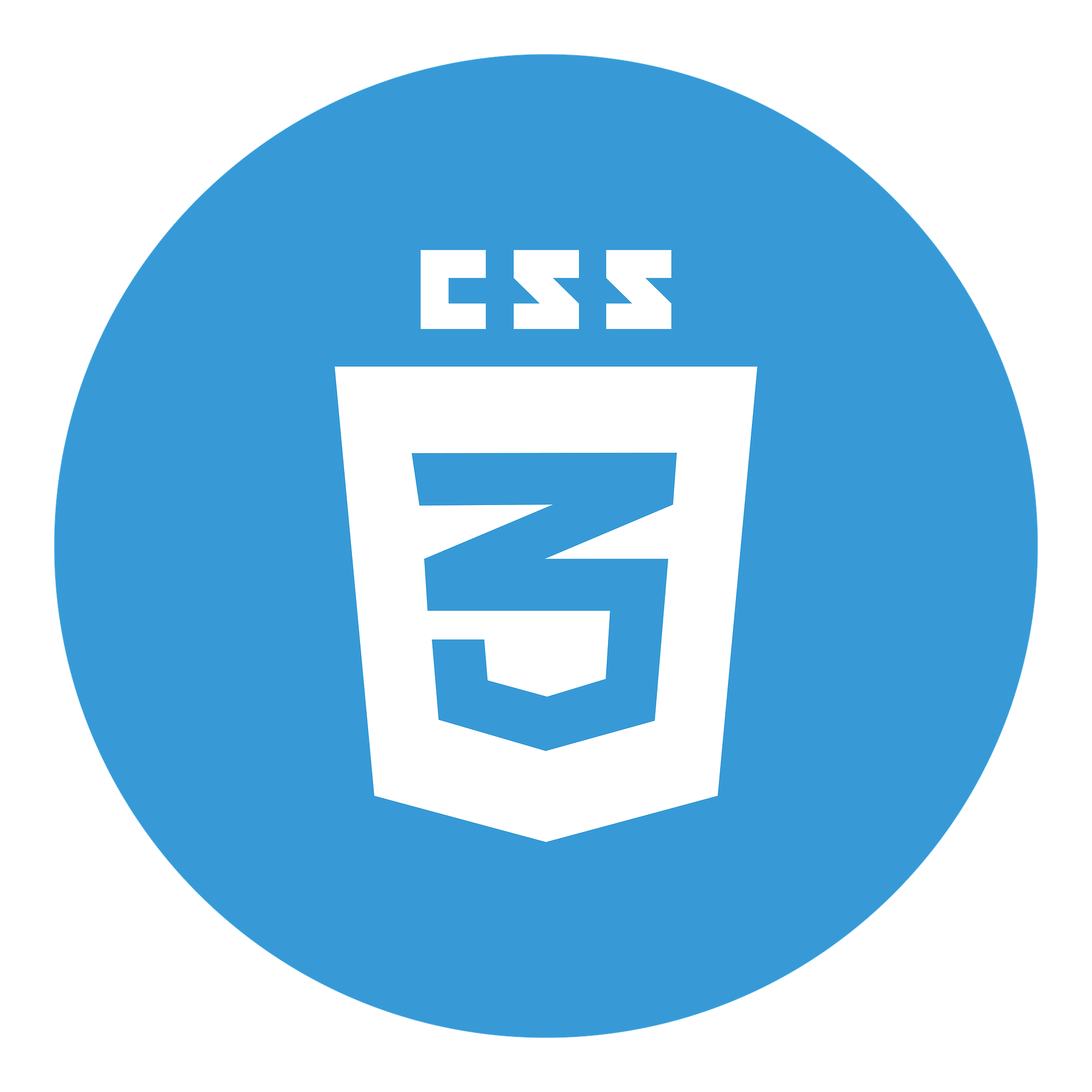 infographic HTML & CSS | Genially