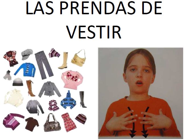 PRENDAS DE VESTIR LSC