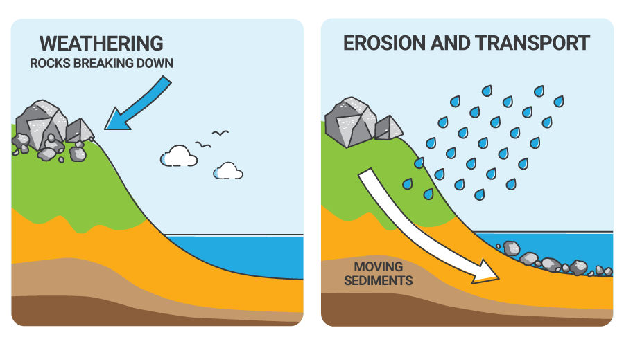 Science: Unit 3 Lesson 1