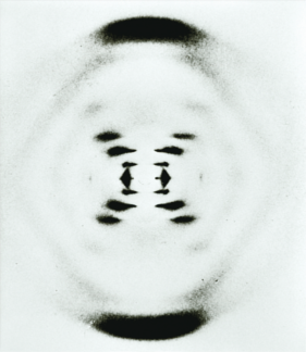 HISTORIA DEL ADN | Genially