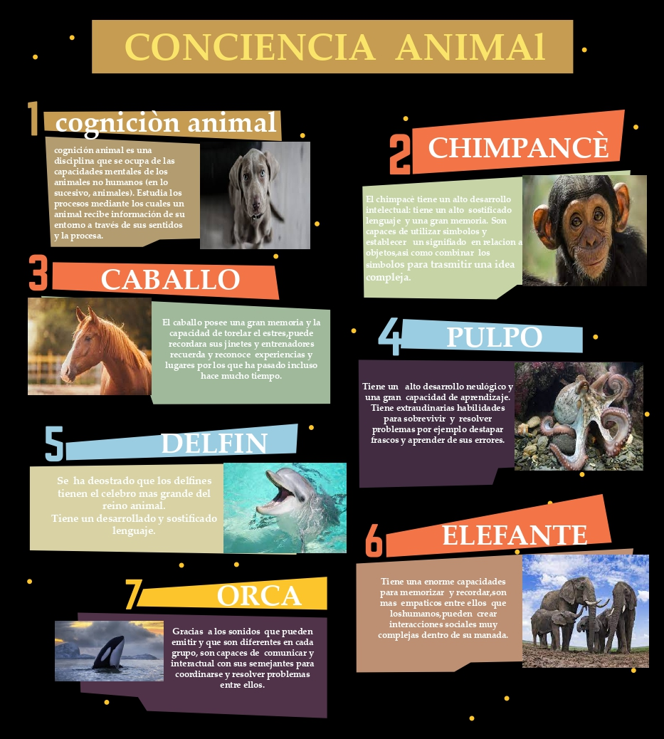 Inteligencia animal | Genially