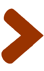 Fleur des nombres CP | Genially