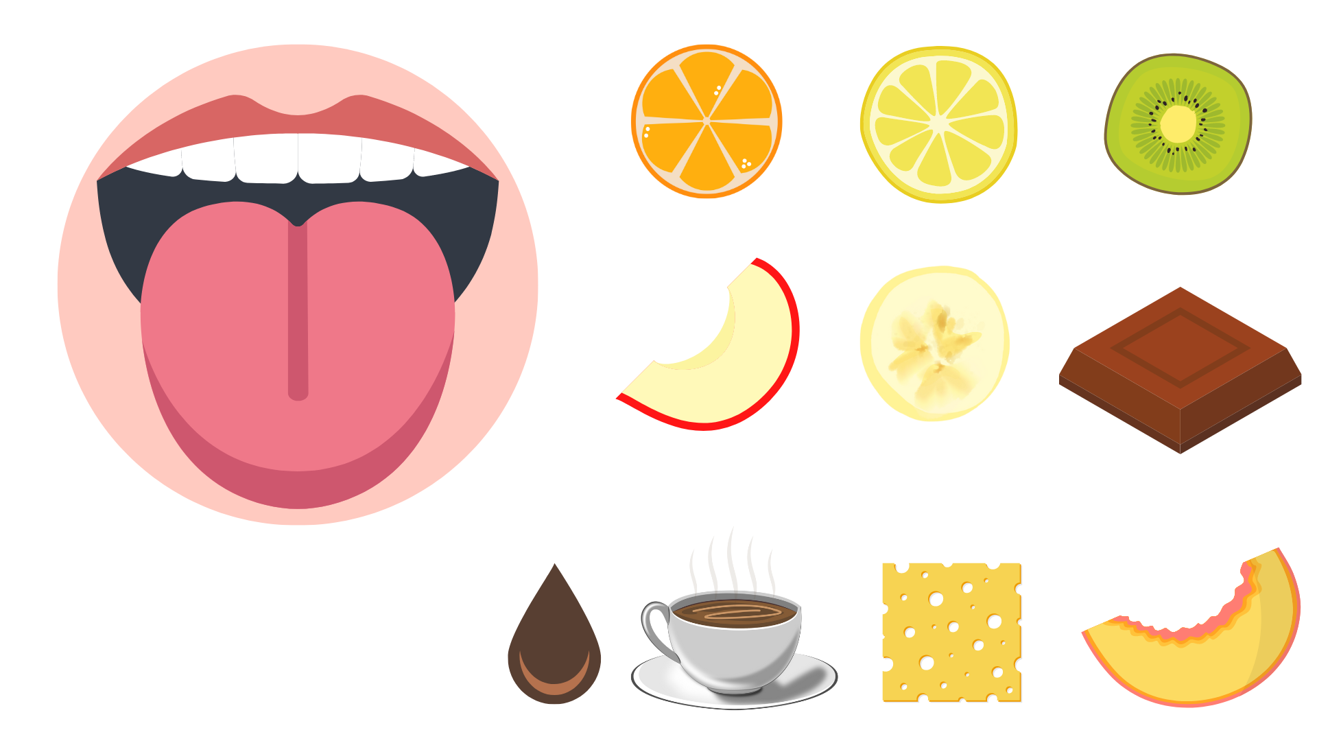 Tastes: sweet, salty, sour, bitter | Genially