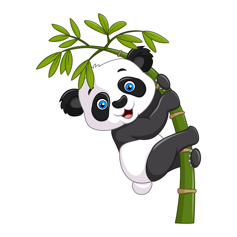 PANDA BEARS | Genially