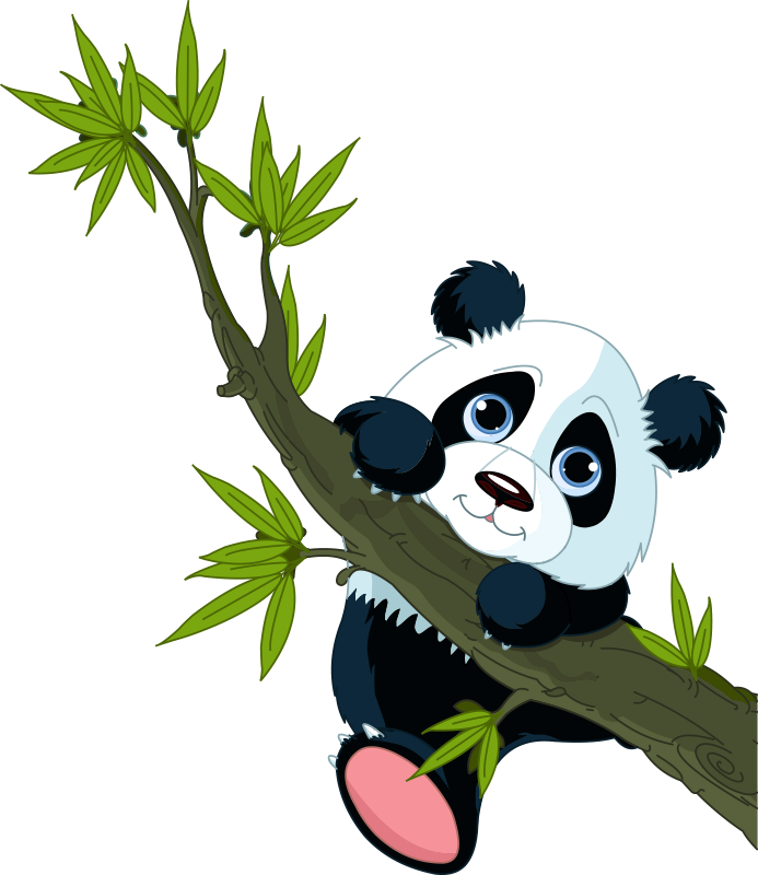 PANDA BEARS | Genially