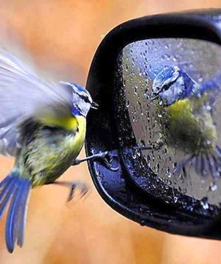 Shutter Speed Game | Genially