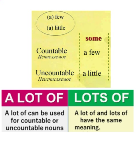 A2-5º QUANTIFIERS A FEW_A LITTLE_A LOT OF_LOTS OF