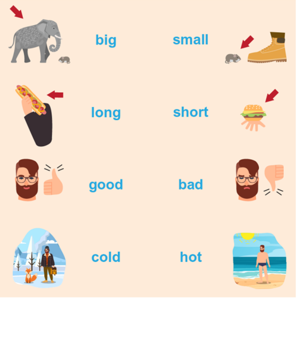 PRE A-1 BASIC ADJECTIVES