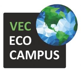 The Roles in the VEC Challenge