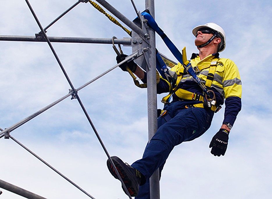 Infografía Normas de Seguridad | Genially