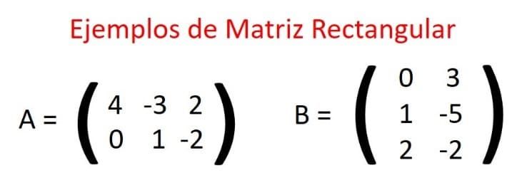 Infografia Acerca de las matrices | Genially