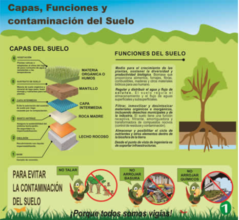 Conservación del suelo