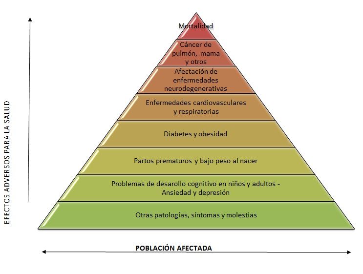 infografia laudato si capitulo 1 | Genially