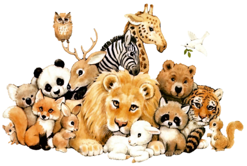 VERTEBRATE ANIMALS | Genially