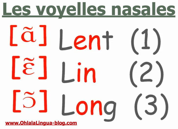 Les voyelles nasales (Recurso módulo 3) | Genially