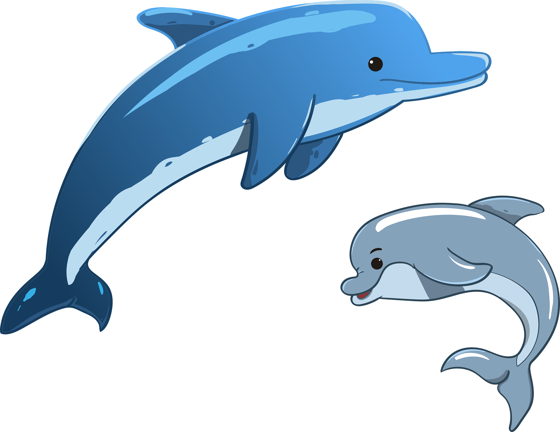 dolphins | Genially