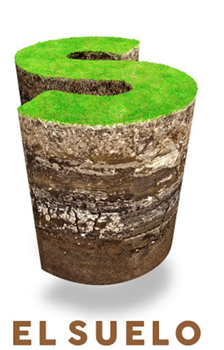 Infografia sobre el suelo | Genially