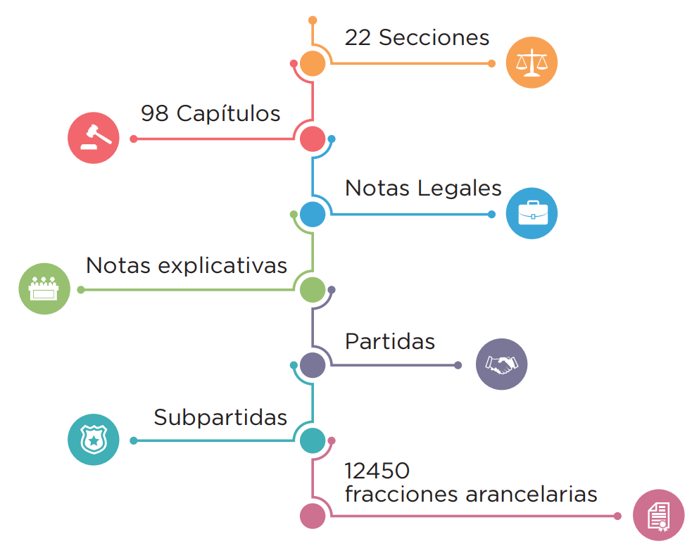INFOGRAFIA LIGIE | Genially
