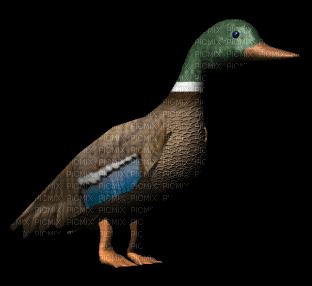 JUEGO DE LA OCA - SUSTANTIVOS | Genially