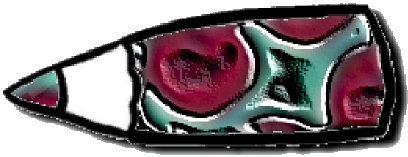 Rituel de la date | Genially